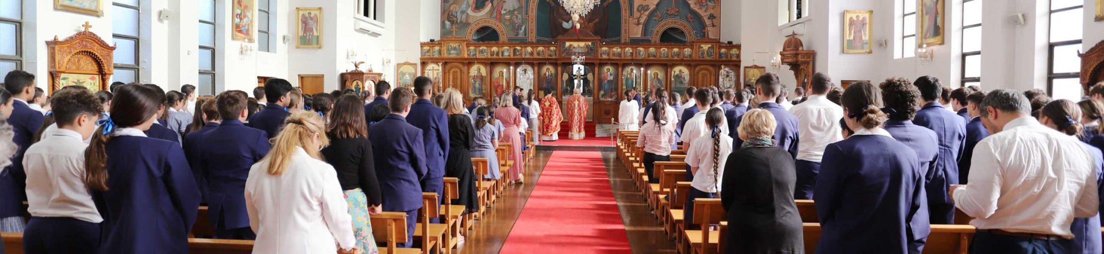 College Structure | St Spyridon College